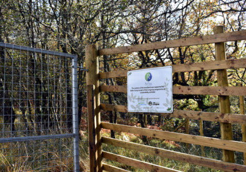 About Us - Reflex Label Plus